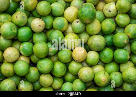 fresh organic lemons from farm close up from different angle Stock ...
