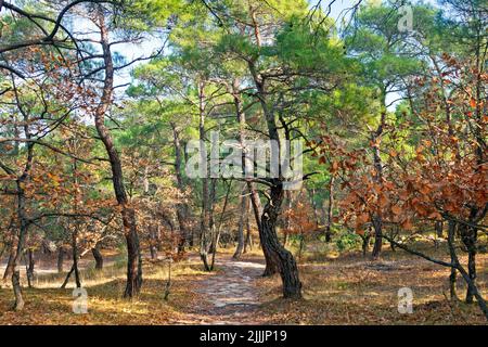 The Dadia-Lefkimi-Soufli Forest National Park, a major natural reserve ...
