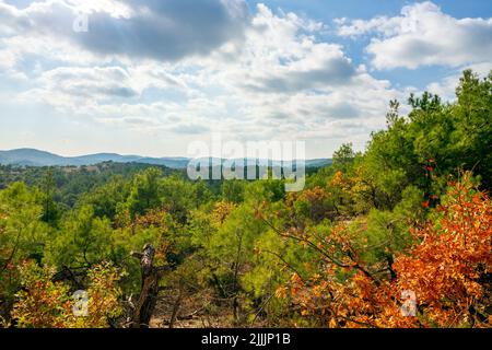 The Dadia-Lefkimi-Soufli Forest National Park, a major natural reserve ...