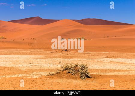 dunes in the southern part of the Namib Desert in the Namib-Naukluft ...