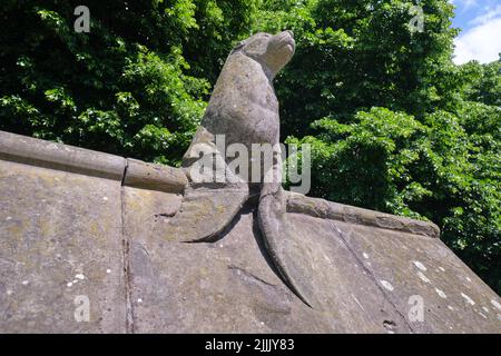 A balancing seal, with its flippers over the wall. At the William ...