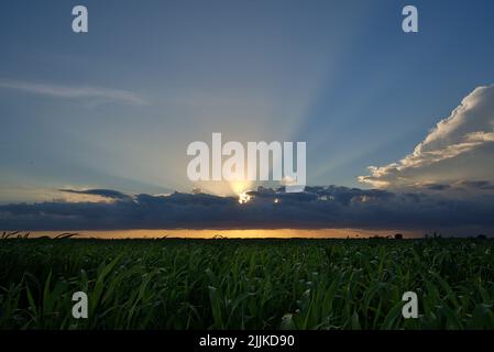 A large green meadow under a cloudy sunset sky Stock Photo - Alamy
