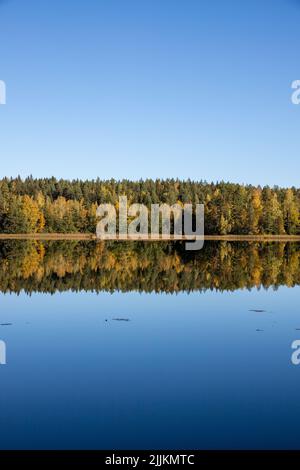 A vertical shot of a calm lake reflecting the colorful trees during ...