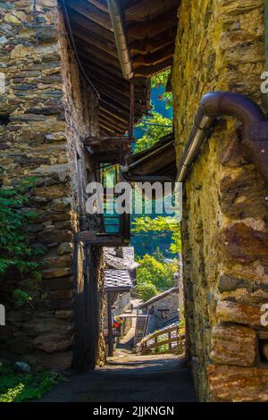 A vertical shot of a narrow street under green trees Stock Photo - Alamy