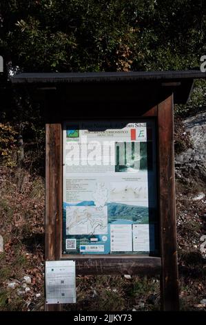 A vertical shot of a wooden path leading to the beautiful forest Stock ...