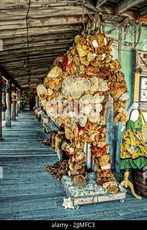 The Key West Sponge Market shop in Mallory Square Key West Florida USA ...