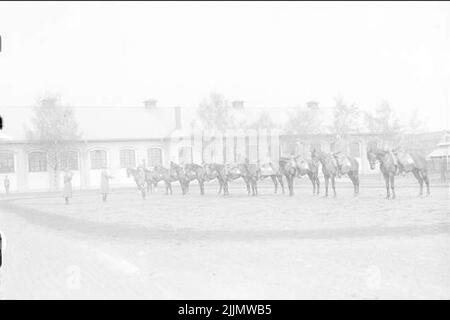 The cavalry inspector General Reinhold von Rosen thanks the regiment on ...