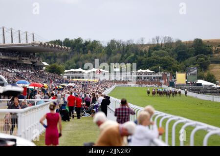 Runners and riders in the World Pool Bet With The Tote Handicap during ...
