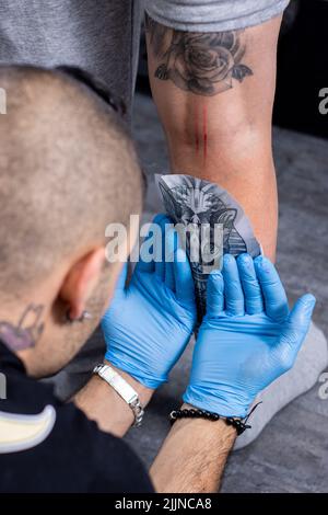 The tattoo artist putting the tracing paper from a client's leg ready ...