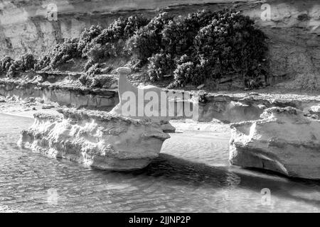 Limestone quarry in Malta Stock Photo - Alamy