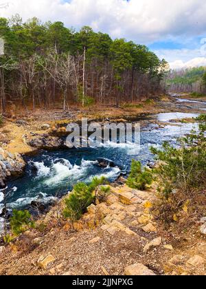 A flowing river with stones under trees in the forest on a sunny day, a ...