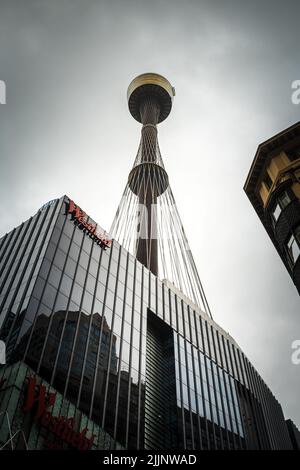 View of the landmark Sydney Tower (Sydney Tower Eye or Westfield ...