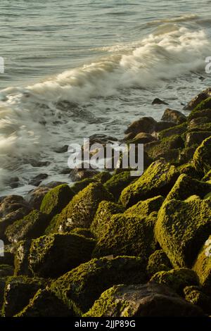 A vertical shot of a rocky beach under a blue, cloudy sky Stock Photo ...