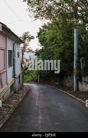 A vertical shot of a narrow asphalt road in a park with a bench near it ...