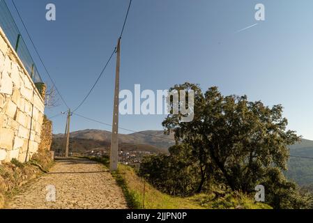 A beautiful shot of a pathway in a forest during the sunset Stock Photo ...