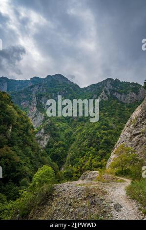 Beautiful view of a landscape with greenery under a cloudy sky Stock ...