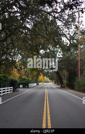 A vertical shot of an asphalt road through fields Stock Photo - Alamy