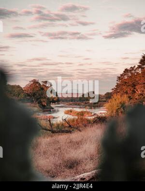 A beautiful view of a river surrounded by dense green trees in Croatia ...