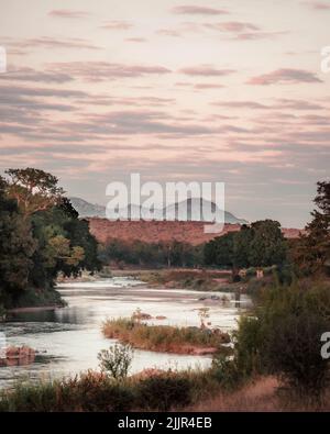 View of the river surrounded by dense vegetation Stock Photo - Alamy