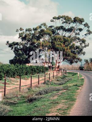 A long road surrounded by grass and green trees under a cloudy sky ...