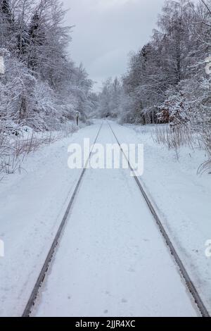Railroad tracks through a snow covered rocky forest landscape Stock ...