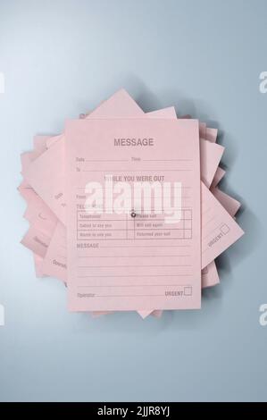 Vertical macro shot of brown, black and white jumping spider salticidae ...