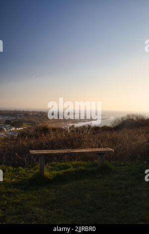 A vertical shot of a beautiful landscape of a wooden walkway in the ...
