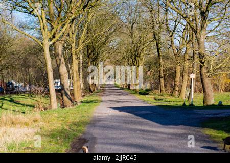 A beautiful view of a road surrounded by tall green trees Stock Photo ...