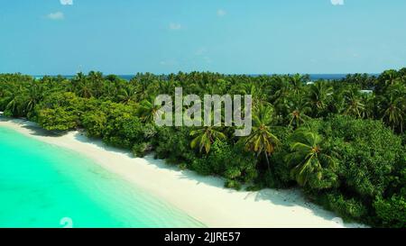 An aerial view of sea surrounded by growing trees in Maldives Stock ...