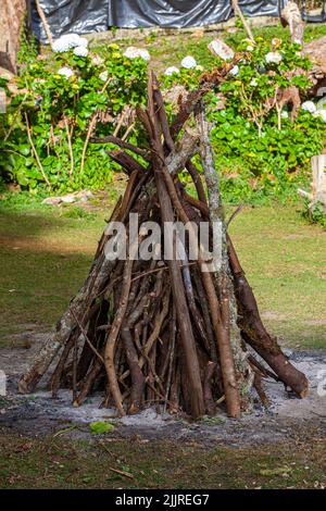 A vertical shot of a bonfire in nature creating a mood for camping ...