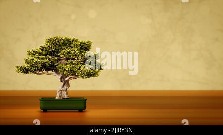 Japanese bonsai tree in dark room with empty place on side - nature 3D ...
