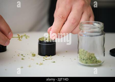 Two hands using a cannabis grinder to shred the buds Stock Photo - Alamy