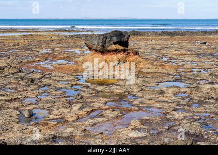Volcanic black rock - Flinders Stock Photo - Alamy