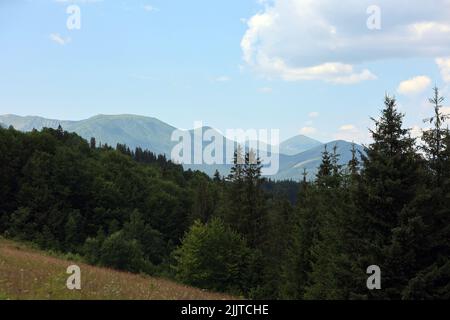 IVANO-FRANKIVSK REGION, UKRAINE - JULY 26, 2022 - The Carpathian ...