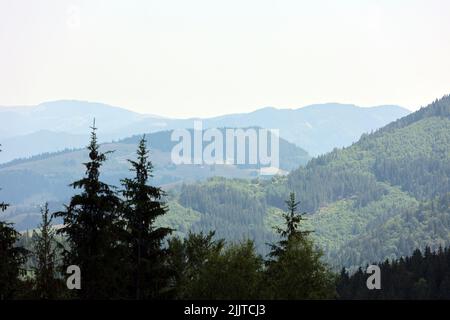 IVANO-FRANKIVSK REGION, UKRAINE - JULY 26, 2022 - The Carpathian ...