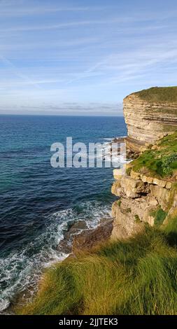A vertical shot of the ocean waves washing the sandy beach Stock Photo ...