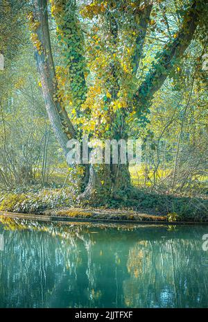 A beautiful shot of a landscape under the big white clouds Stock Photo ...