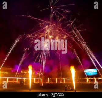 Bright, pink fireworks against the background of the night sky. High ...