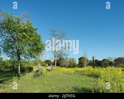 A scenic view of Cuna Verde de O'Donnell Park with green nature in ...