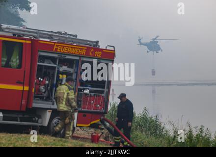 Several firefighters are working to extinguish a forest fire that has ...