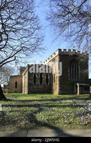 Spring flowers at St Lawrence's Church, Scunthorpe town, Lincolnshire ...
