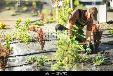 Trickle or Drip Irrigation Assembling Performed by Professional ...
