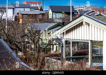 Buildings in Torshov Oslo Norway Stock Photo - Alamy