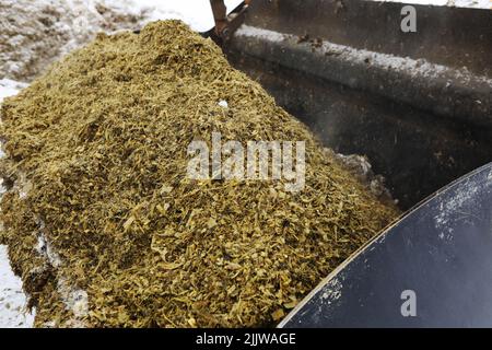 Bucket with Emily mobile cutter. Selection of silage and haylage from ...