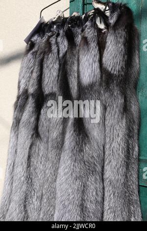 Finished skins from animals. Mink, arctic fox skins from animals. Mink ...