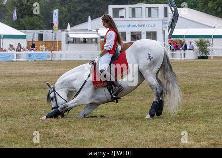 Atkinson Action Horses at the New Forest and Hampshire County Show in July 2022, England, UK ...