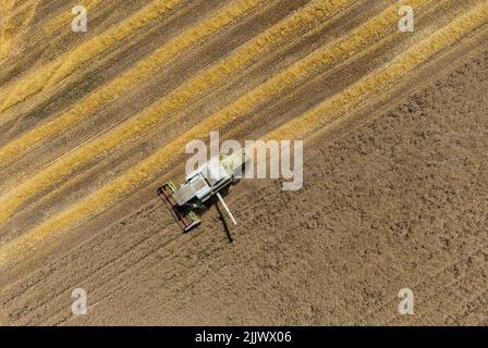 Aerial view of barley and corn field, perspective, golden hour Stock ...