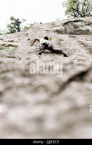 Low angle view of full body beautiful red tulips in a dutch field Stock ...