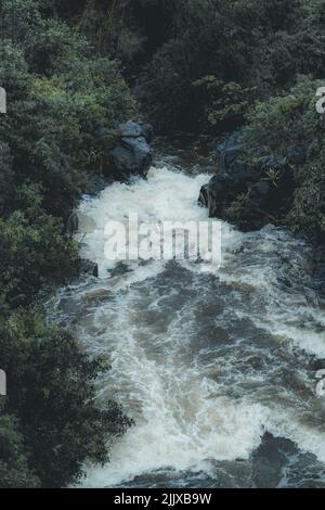 A river rushing down in a dense green forest Stock Photo - Alamy