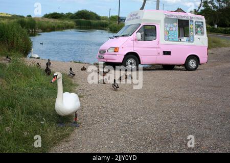 A swan and ducks and a pink ice cream van, Salthouse, Holt, Norfolk, UK ...